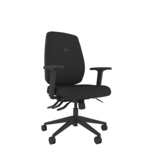 Positive Plus High Back Ergonomic Office Chair | ECD