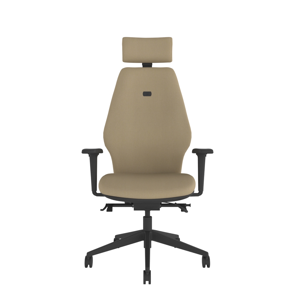 Ergonomic Elite High Back Office Chair - Build Your Own | ECD