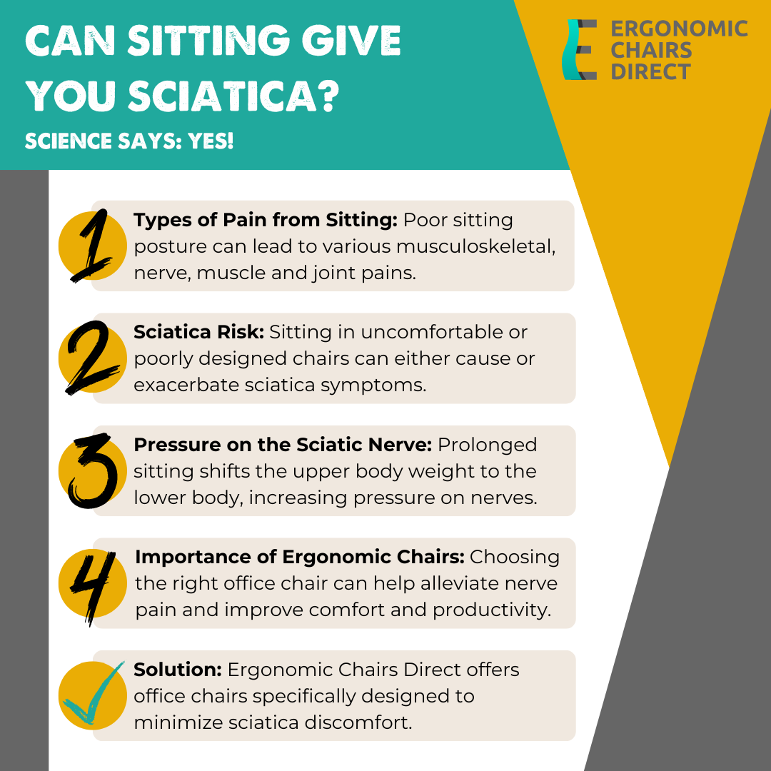 Ergonomic Office Chairs for Sciatica: Your Key to Comfort